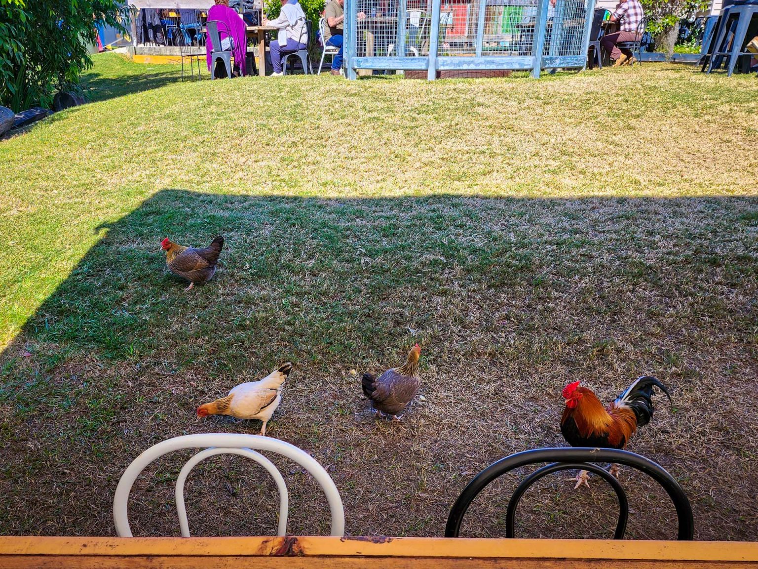 Country Pub Feels, Linville – Join the Adventure®