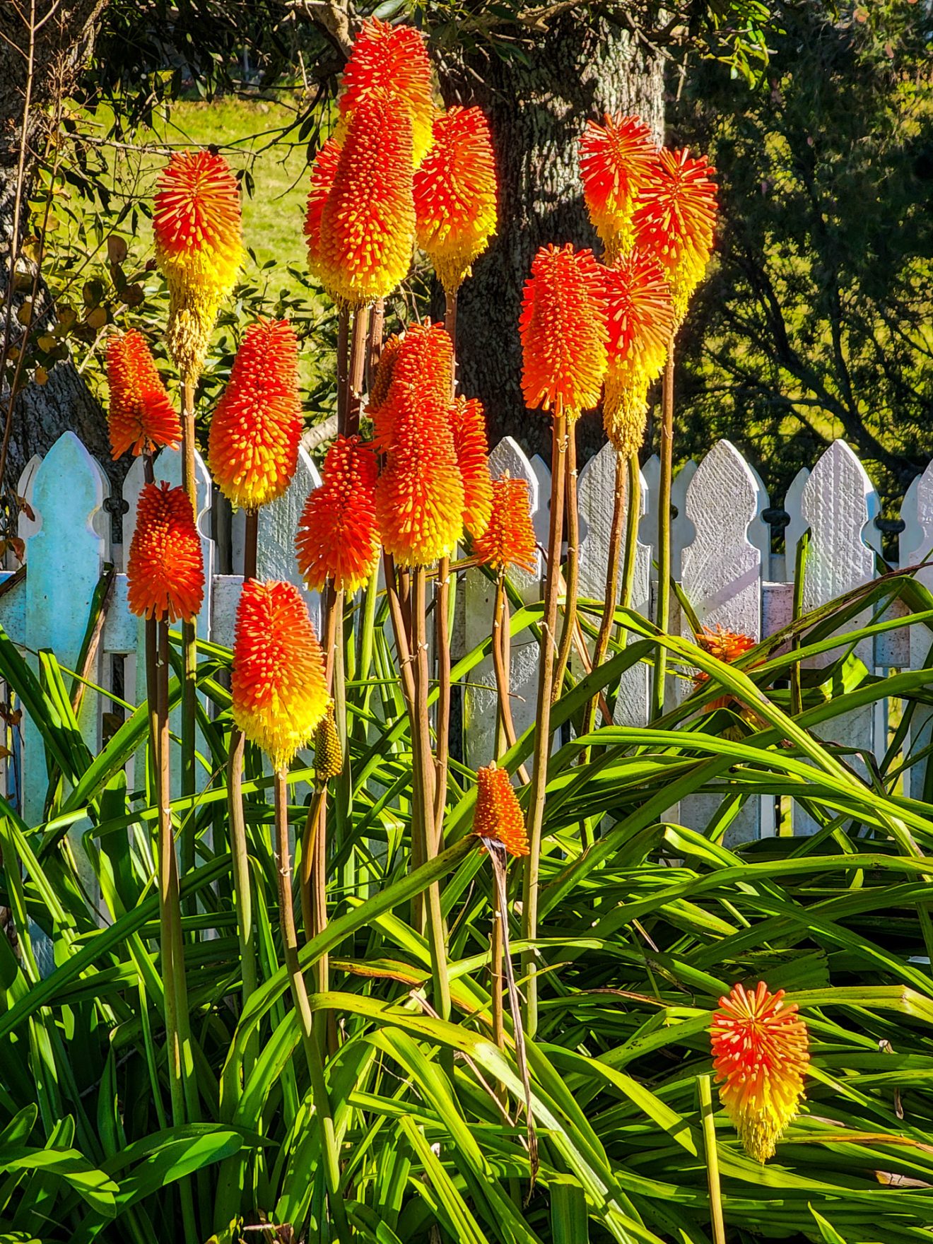 Mount Mee Winter Sky – Join the Adventure®