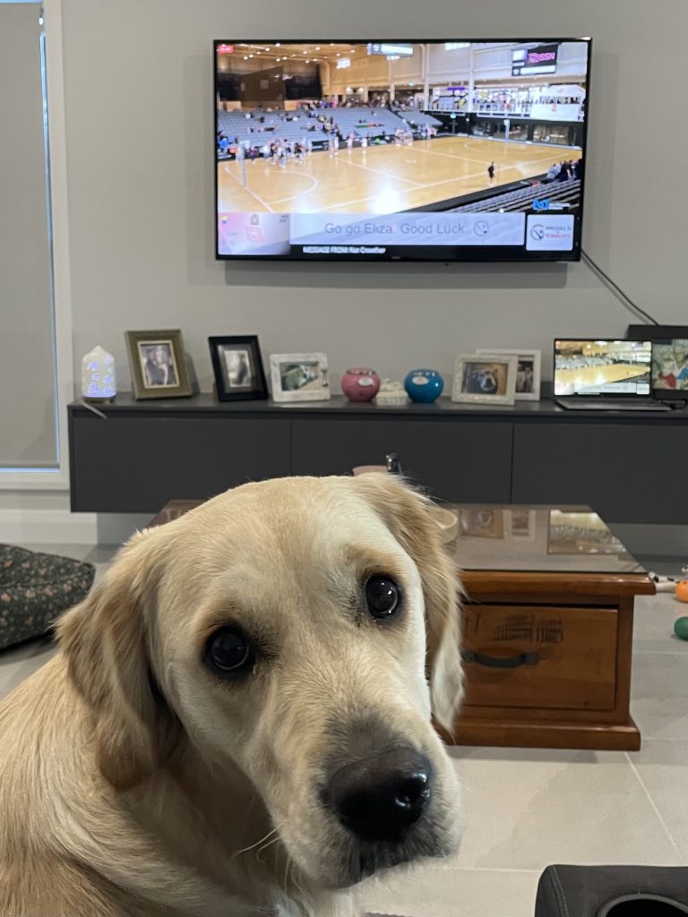 QISSN Opportunities – Join the Adventure®